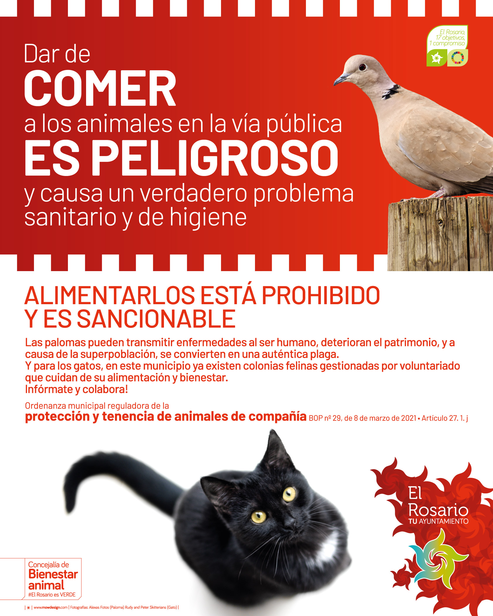 El Rosario conciencia sobre los riesgos de dar de comer a animales en ...